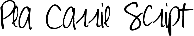 Pea Carrie Script - Abstract Fonts - Download Free Fonts