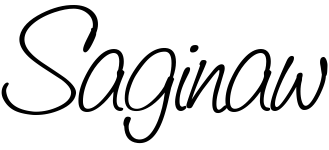 Saginaw - Abstract Fonts - Download Free Fonts